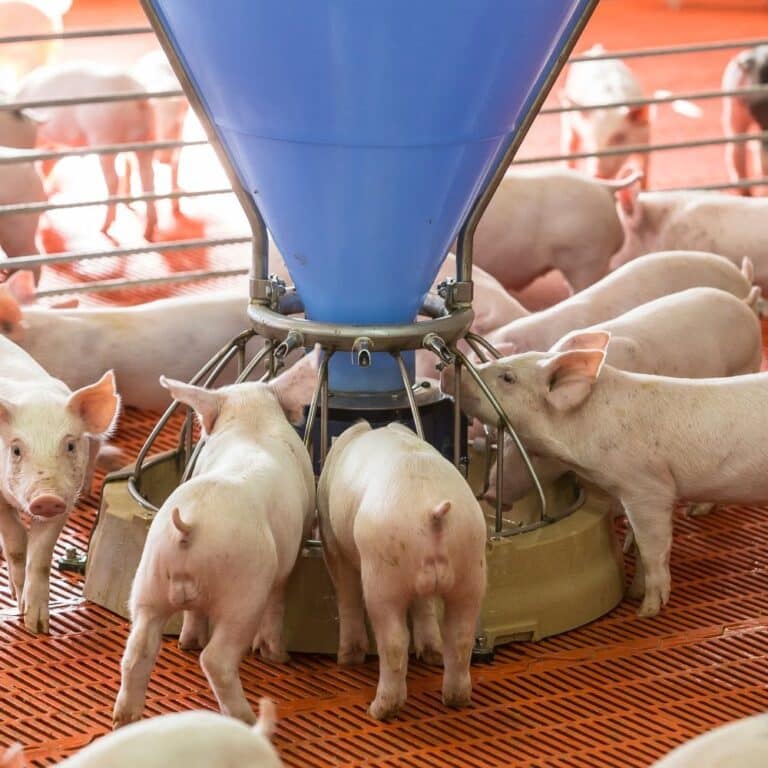 Alle producten - Jodoco