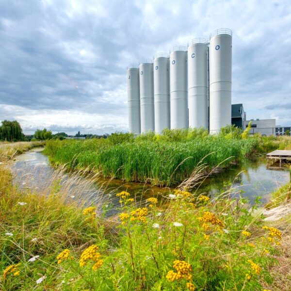 Jodoco - Specialist in Betaine Diervoeders en Biostimulanten