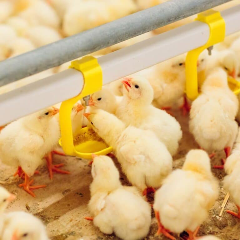 Alle producten - Jodoco